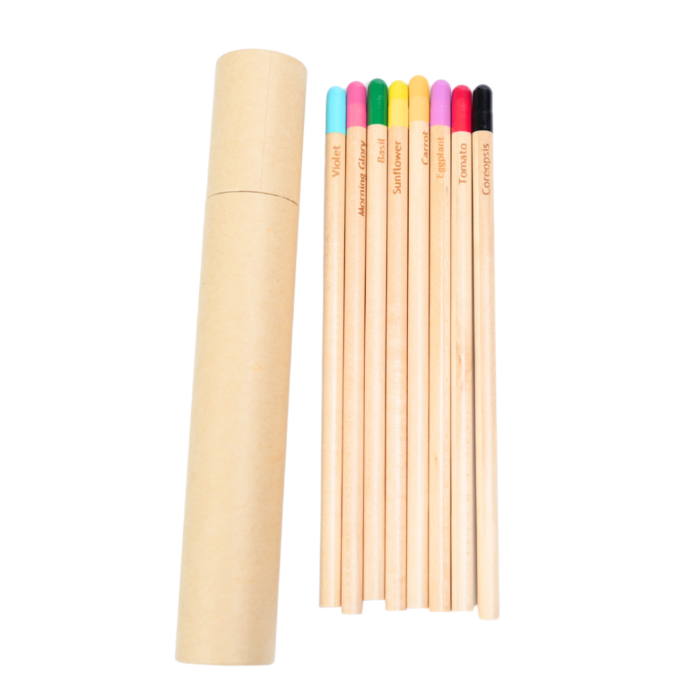 Customised Colour Pencil With Cylinder Casing – Magic Seed Malaysia